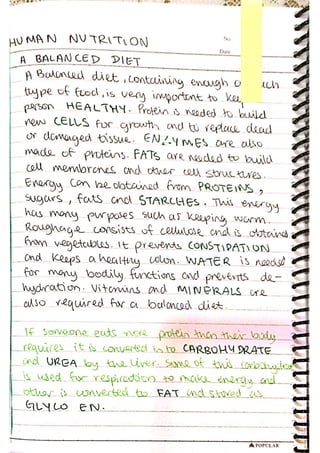 Human nutrition | PDF