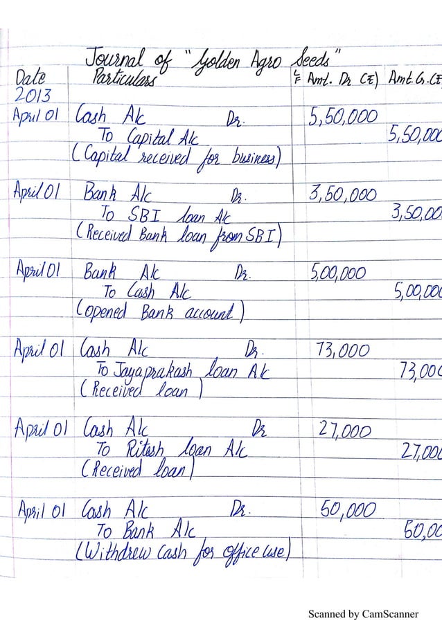 class 11 accounts CBSE comprehensive project | PDF