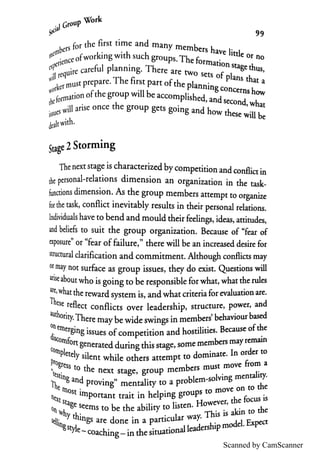 Social Group Work Process | PDF