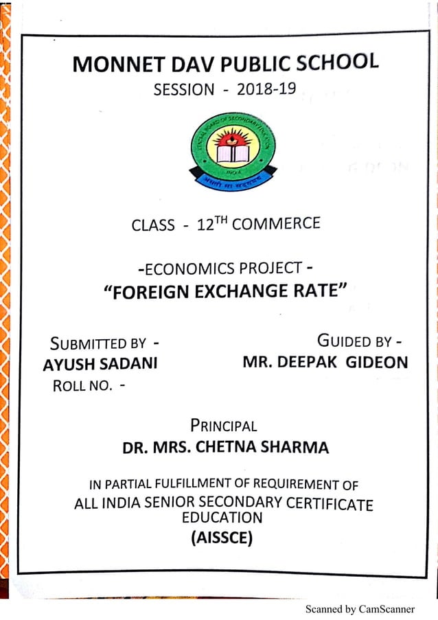 foreign exchange rate project class 12 | PDF | Currencies | Economy
