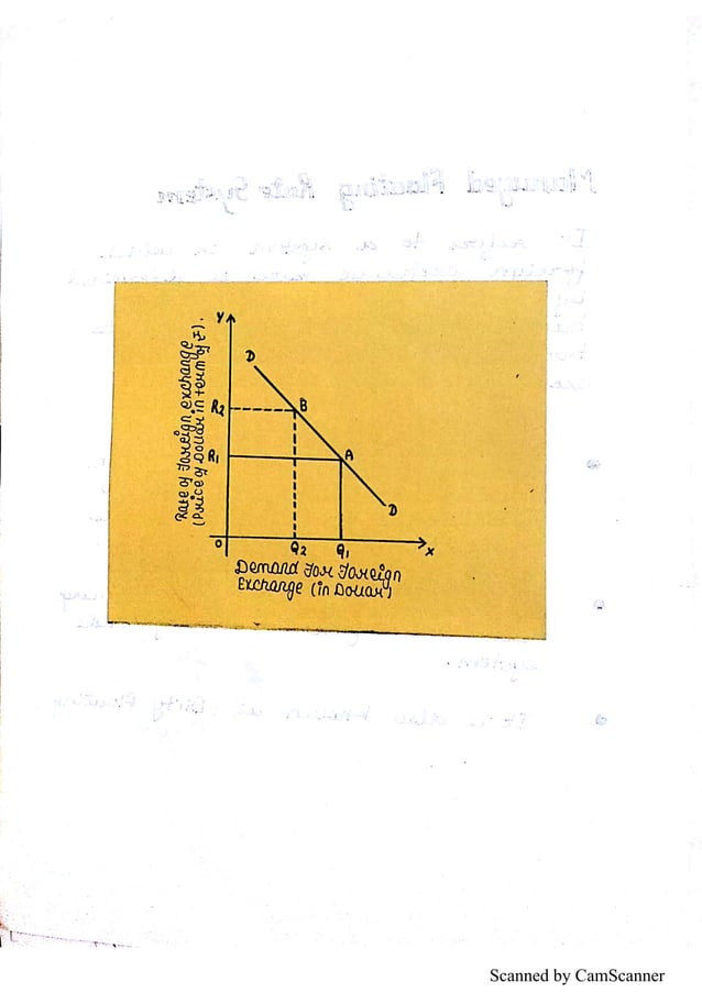 foreign exchange rate project class 12 | PDF | Currencies | Economy