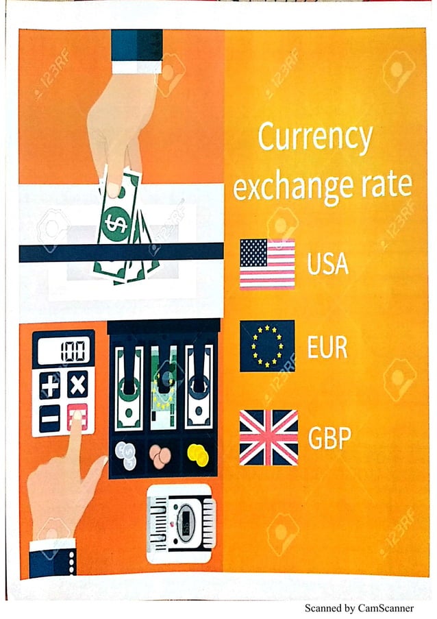 foreign exchange rate project class 12 | PDF | Currencies | Economy
