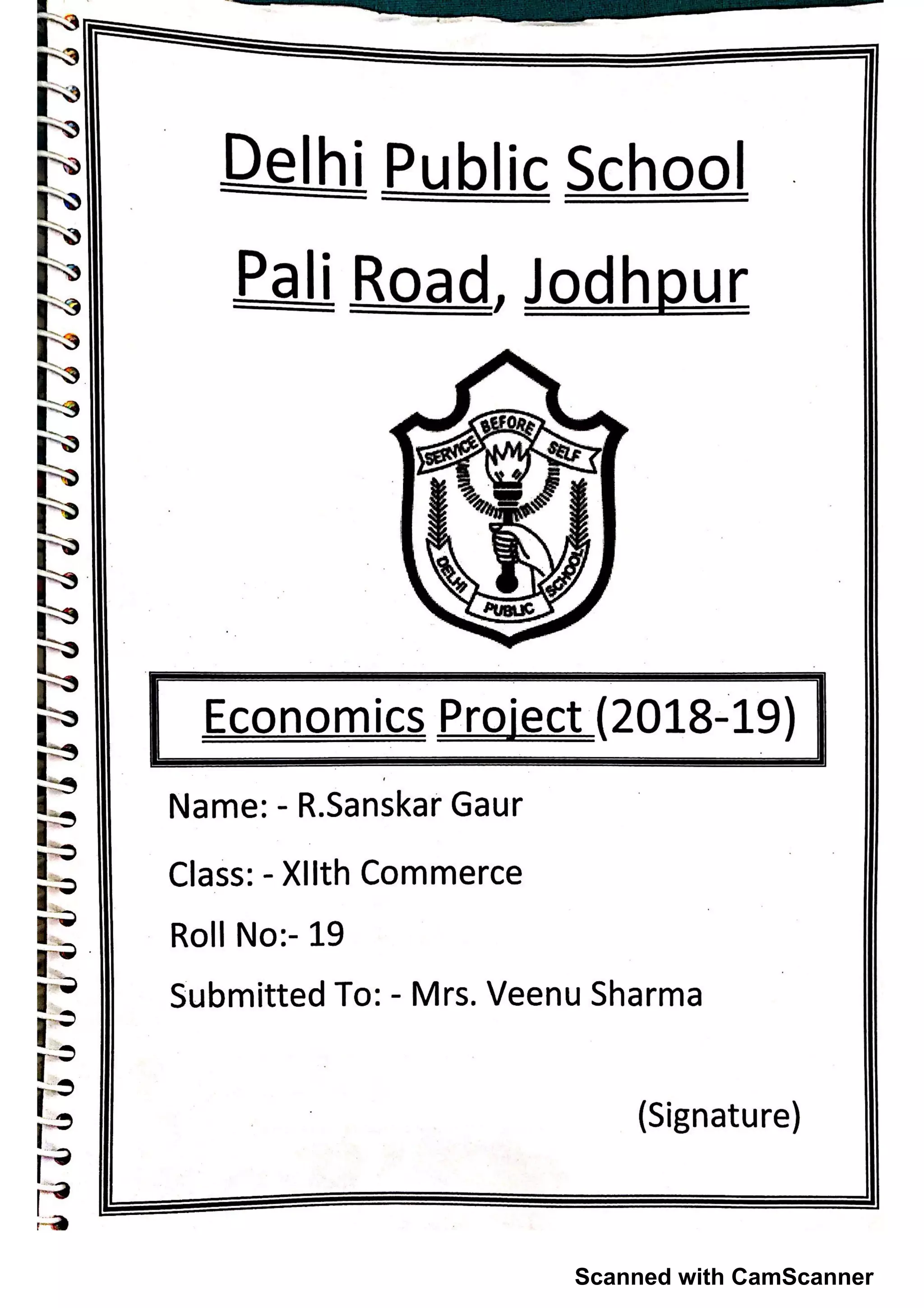 Class 12 economics project Demonetisation | PDF