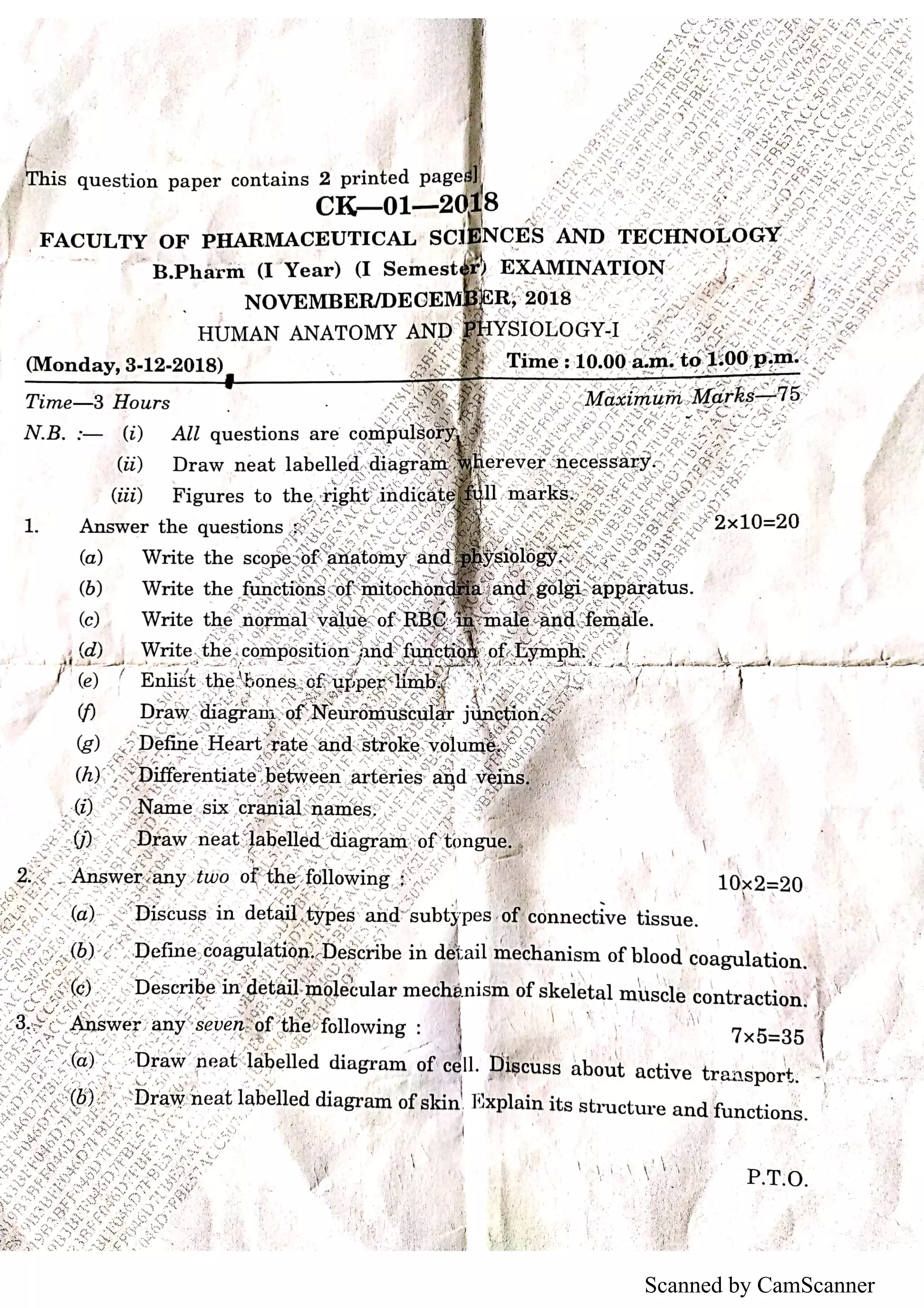 Anatomy Past Exam Papers 7 Gross Anatomy Ideas | Gross Anatomy,