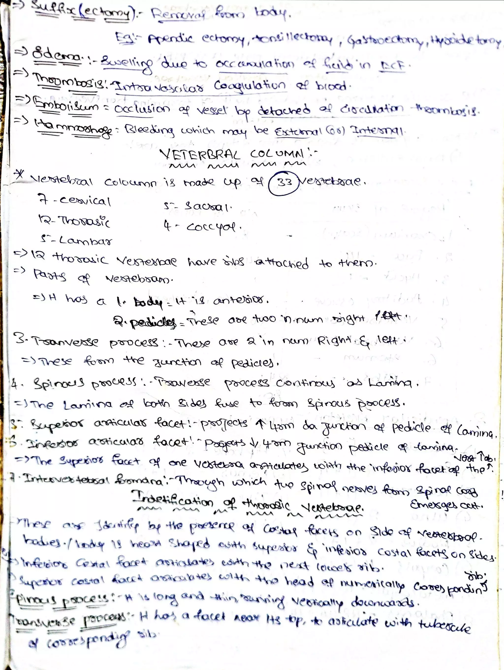 Bones of human body Notes | PDF