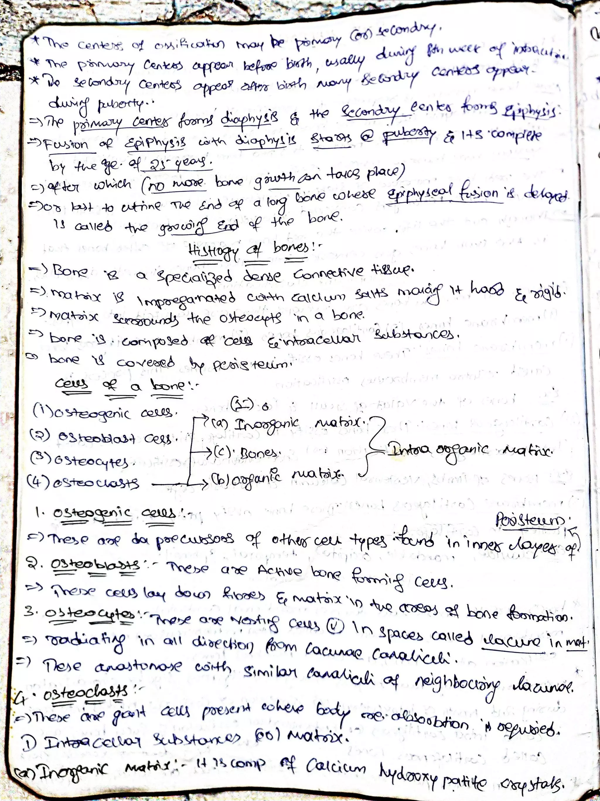 Bones of human body Notes | PDF