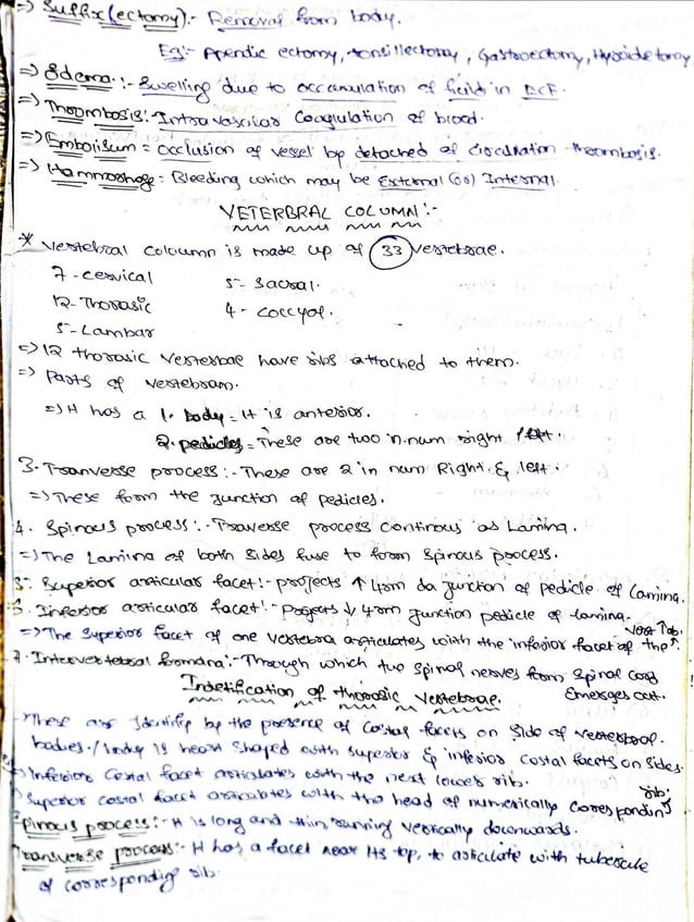 Bones of human body Notes | PDF | Bone and Joint Conditions | Diseases ...