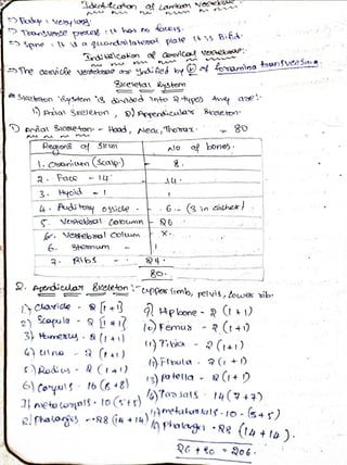 Bones of human body Notes | PDF