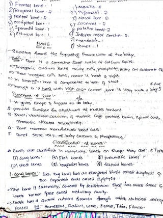 Bones of human body Notes | PDF