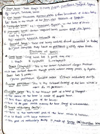 Bones of human body Notes | PDF