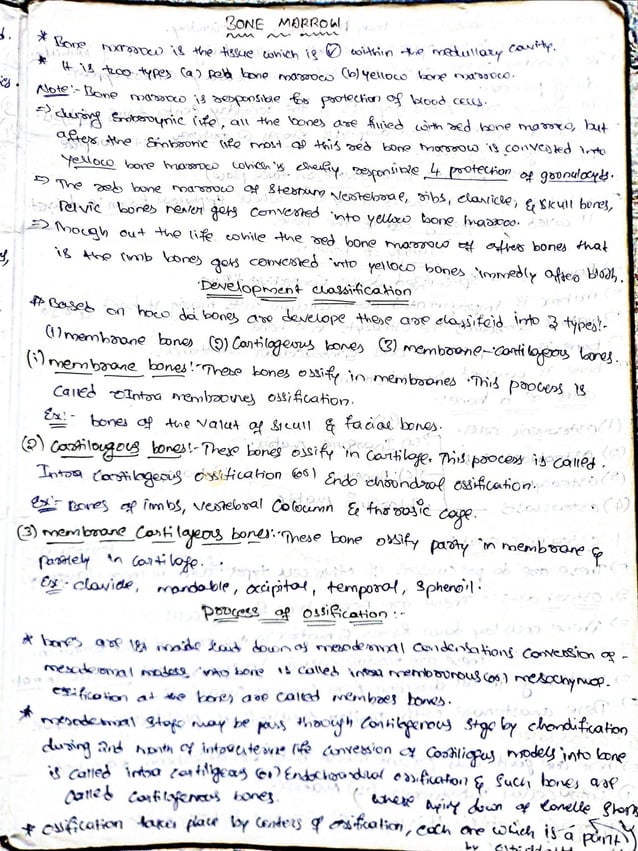 Bones of human body Notes | PDF | Bone and Joint Conditions | Diseases ...