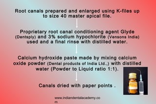 effects of calcium hydroxide intra canal dressing on apical seal ...