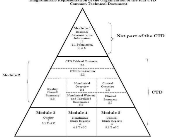 New Drug Application [NDA]