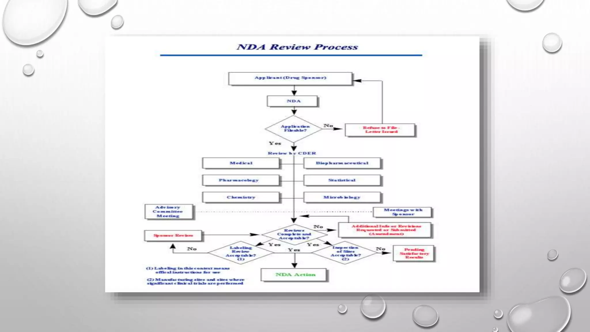 New drug application (NDA).pptx