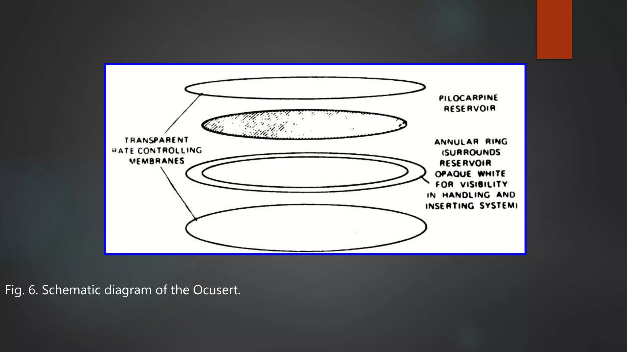 New drug delivery system | PPTX