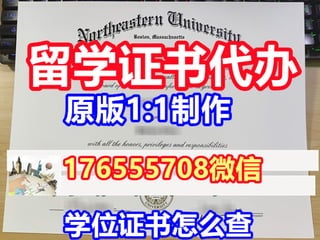 USYD毕业证 | PDF