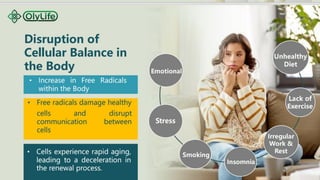 Olylife Opportunity Presentation including Marketing Plan | PPTX