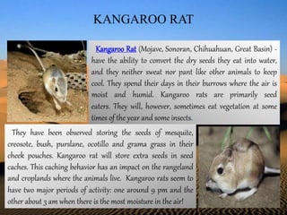 Desert Animals | PPTX