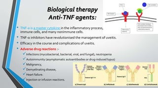New era in managment autoimmune Uveitis f.pptx