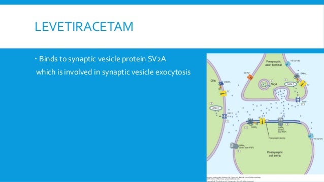 Newer antiepileptic drugs