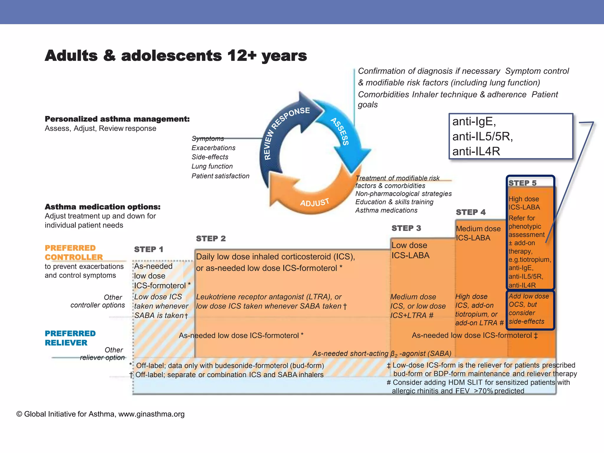 Newer biologics in asthma | PPTX