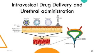 Newer Drug Delivery System_31-01-2024_Dr. Jeenal Mistry.pdf