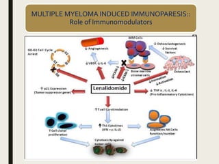 Newer drugs in multiple myeloma | PPTX