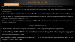Newer drug targets for obesity | PPTX