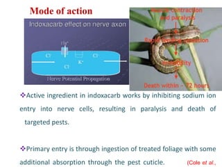 newer g of insect. & mode f act..ppt