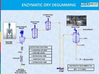 Newer Processing Methods for the Extraction and Refining Rice Bran Oil ...