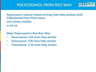 Newer Processing Methods for the Extraction and Refining Rice Bran Oil ...