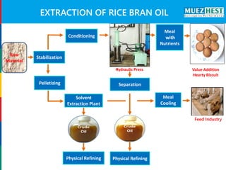 Newer Processing Methods for the Extraction and Refining Rice Bran Oil ...