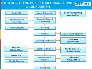 Newer Processing Methods for the Extraction and Refining Rice Bran Oil ...