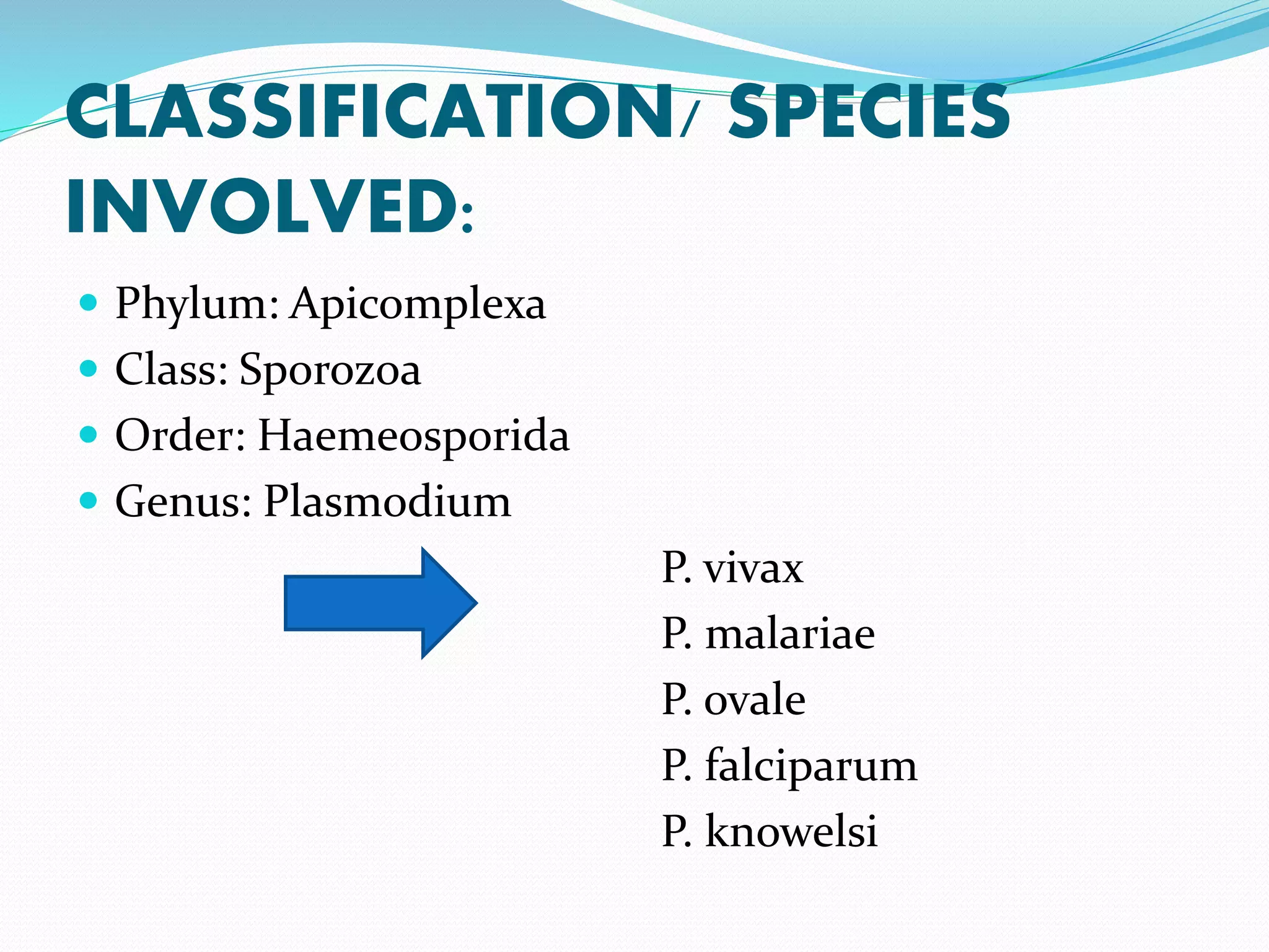 Newer techniques in laboratory diagnosis of malaria | PPTX