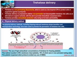 Newer tools of cryopreservation | PPTX
