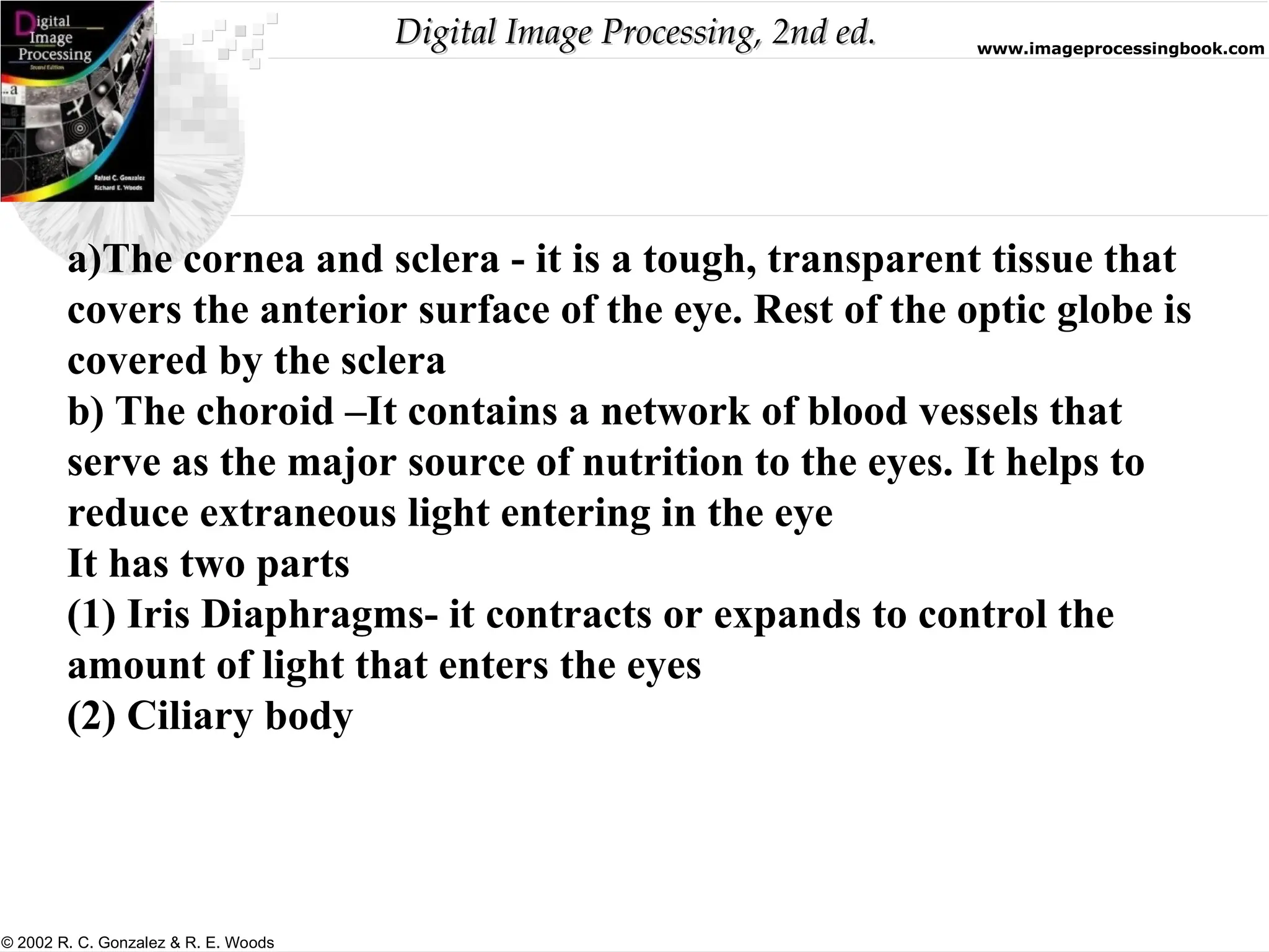 newest human eye anatomy.ppt human eye perception | PPT