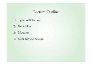 Evolution Lectures WK8 | PPT