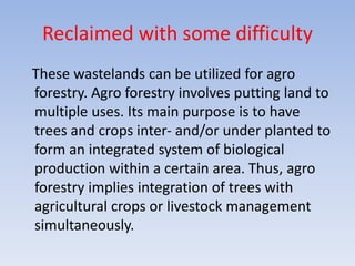 wasteland reclamation | PPTX