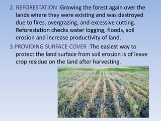 wasteland reclamation | PPTX