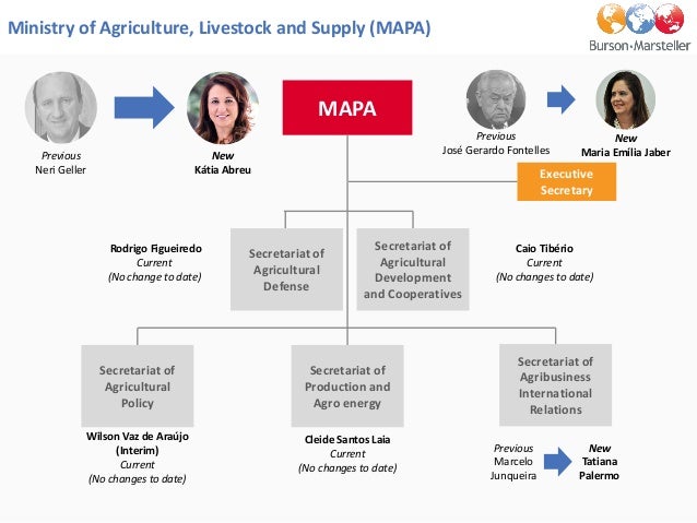 Brazil Government Structure