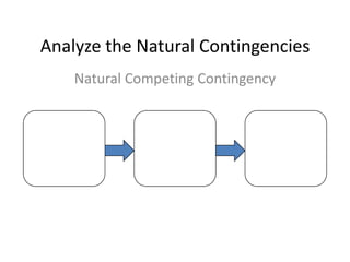 Final Fiesta Presentation Template | PPT