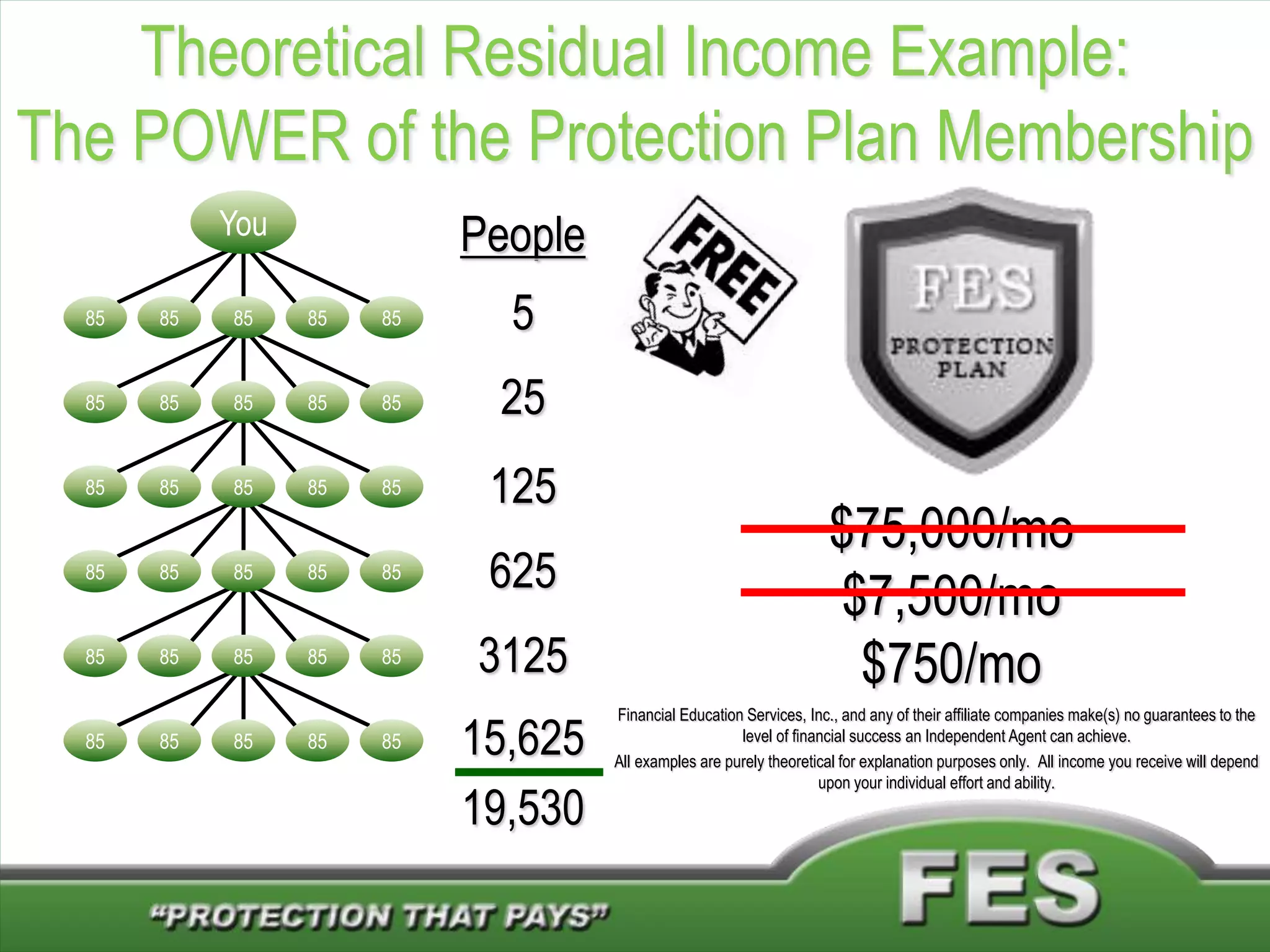 FES Business and Compensation Plan Overview | PPT