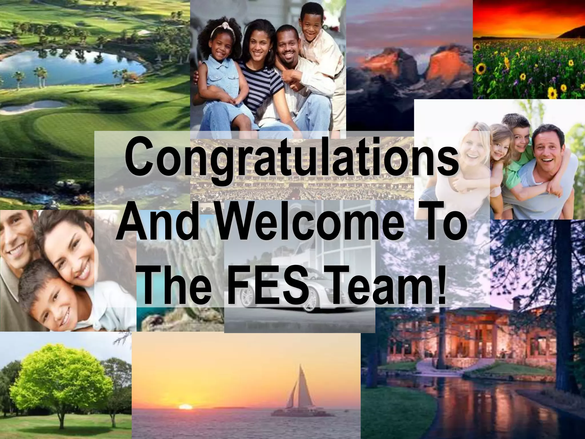 FES Business and Compensation Plan Overview | PPT