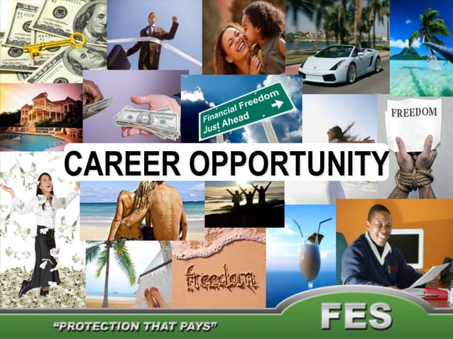 FES Business and Compensation Plan Overview | PPT