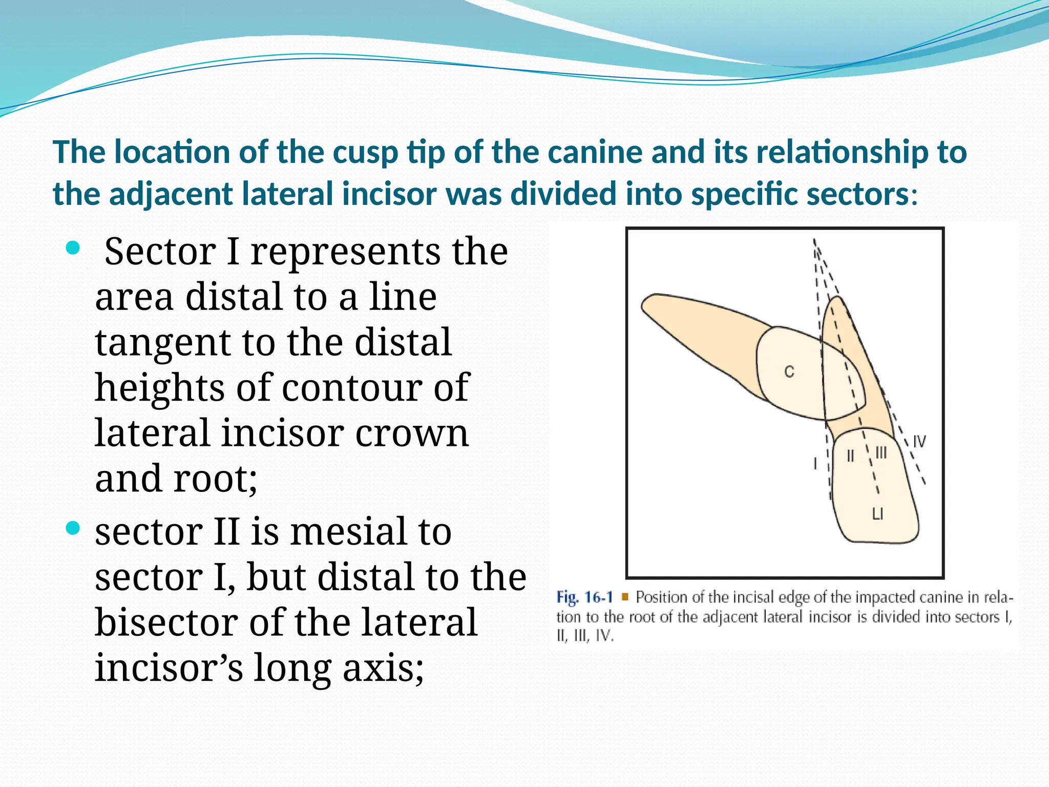MAXILLARY CANINE impaction techniques.pptx