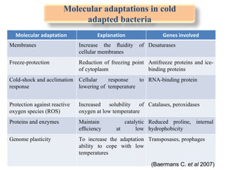 molecular adaptations to psychrophily: insights into omic methods | PPT