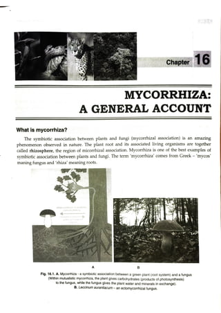 New Folder (2)_20231202.pdf