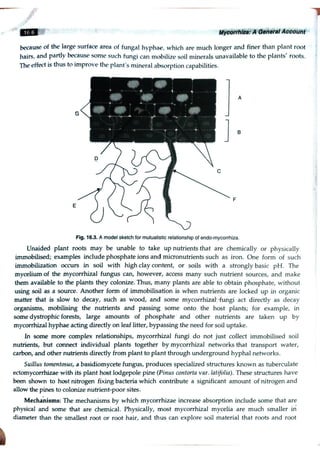 New Folder (2)_20231202.pdf