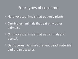 New food chainpp | PPT
