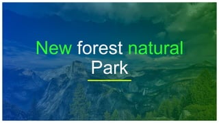 New Forest Natural Park by Zomak Assignments | PPTX
